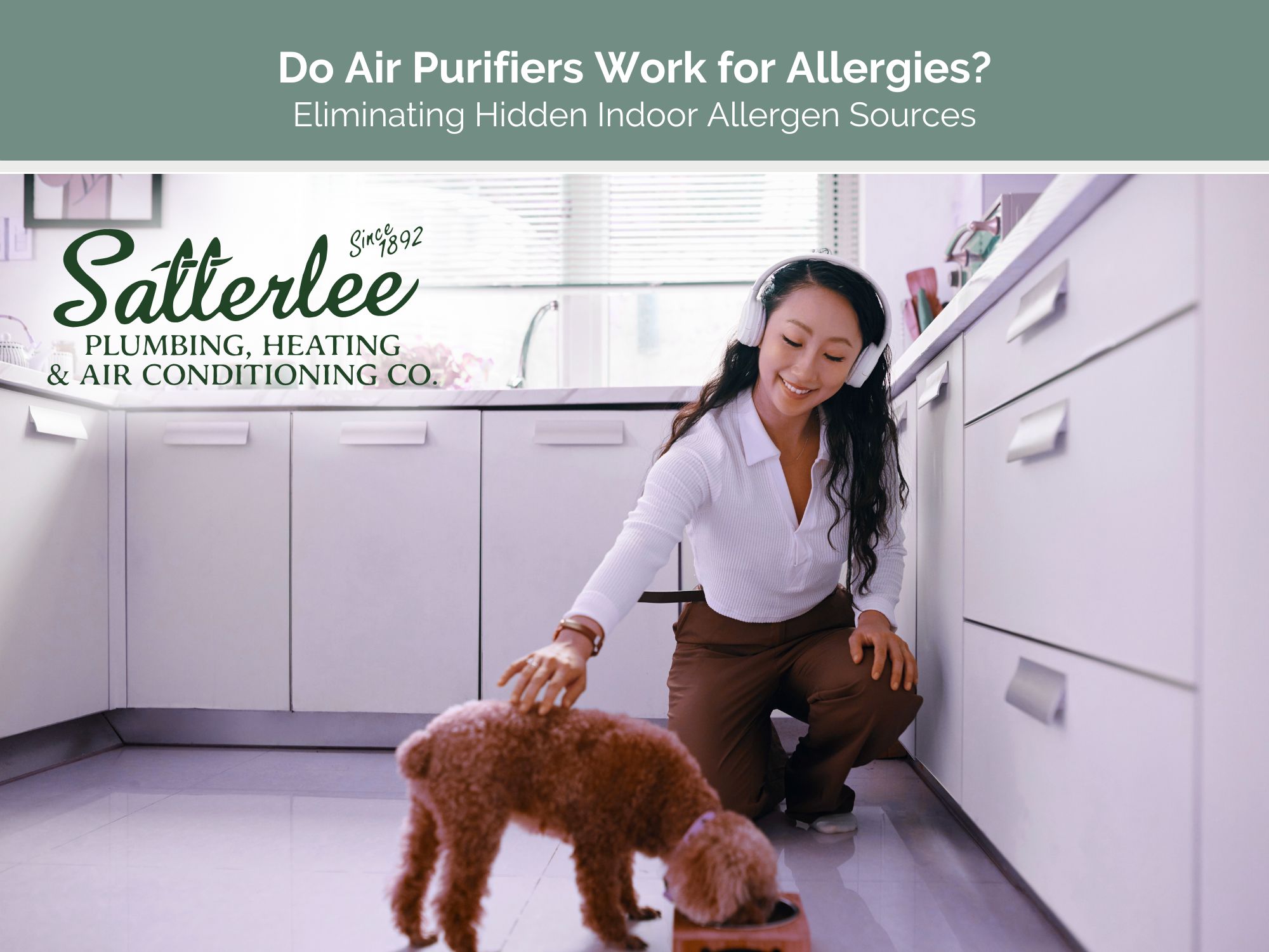 Do Air Purifiers Work for Allergies? Eliminating Hidden Indoor Allergen Sources - Satterlee ...